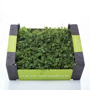 Cress, affilla, 16 bk